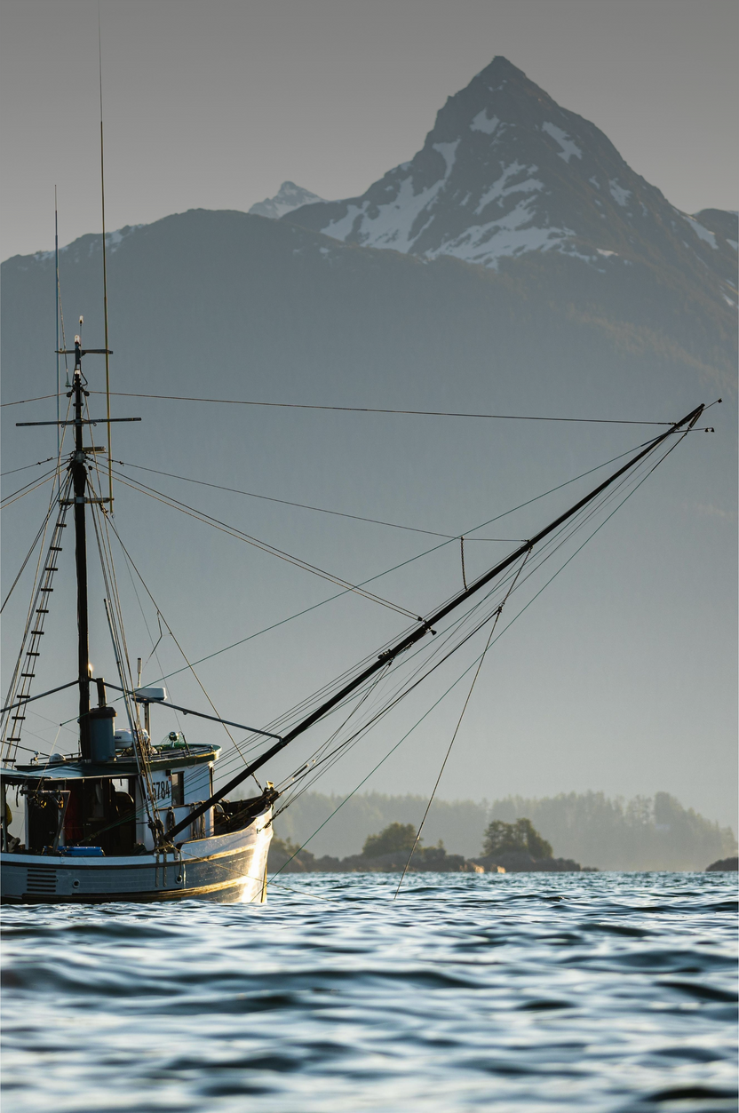 SeaBear Smokehouse | Discover the Finest Smoked Salmon & Seafood